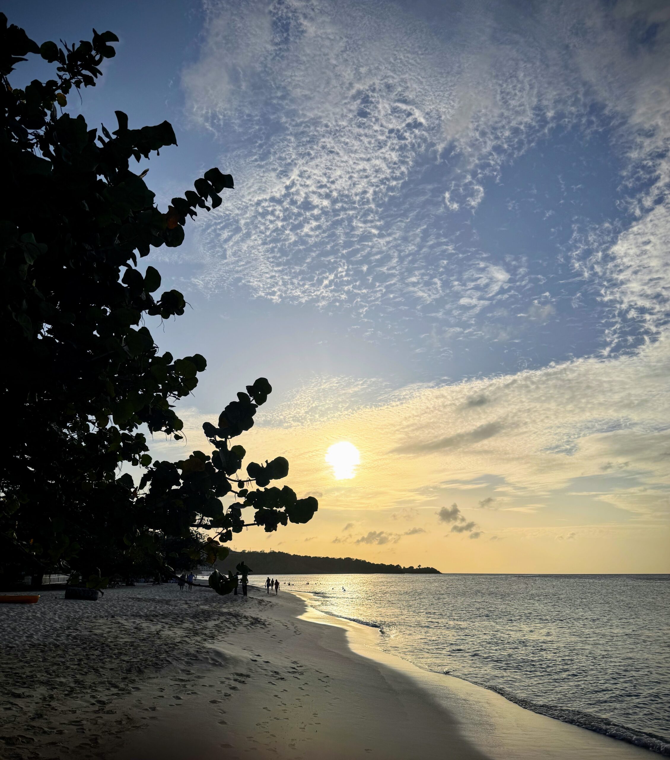 #25 – A Smooth Escape - Soaring the Americas